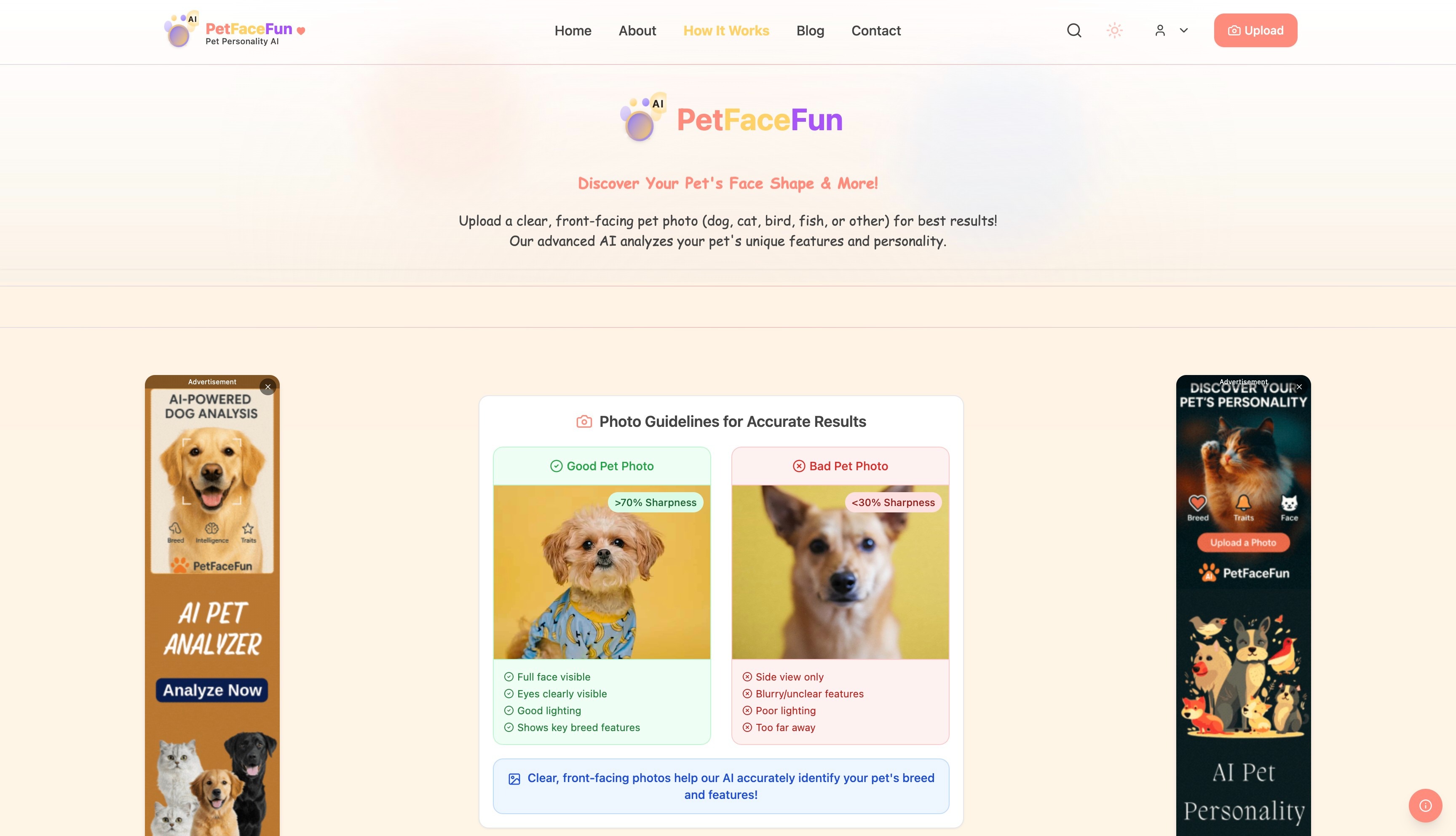 PetFaceFun | Made with Lovable